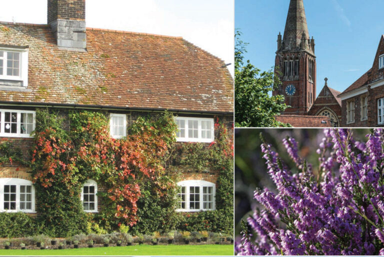 Copythorne & Cadnam - Fells Gulliver